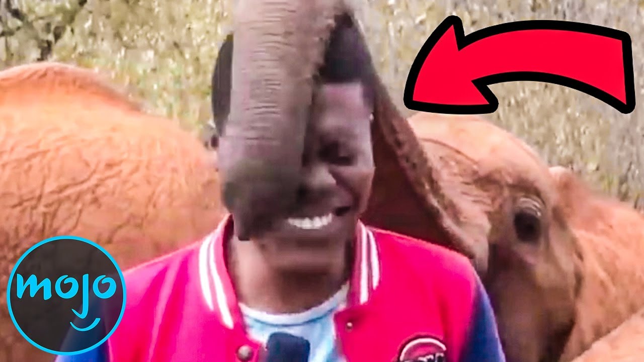 Top 10 Craziest Live TV FAILS of 2022 - YouTube