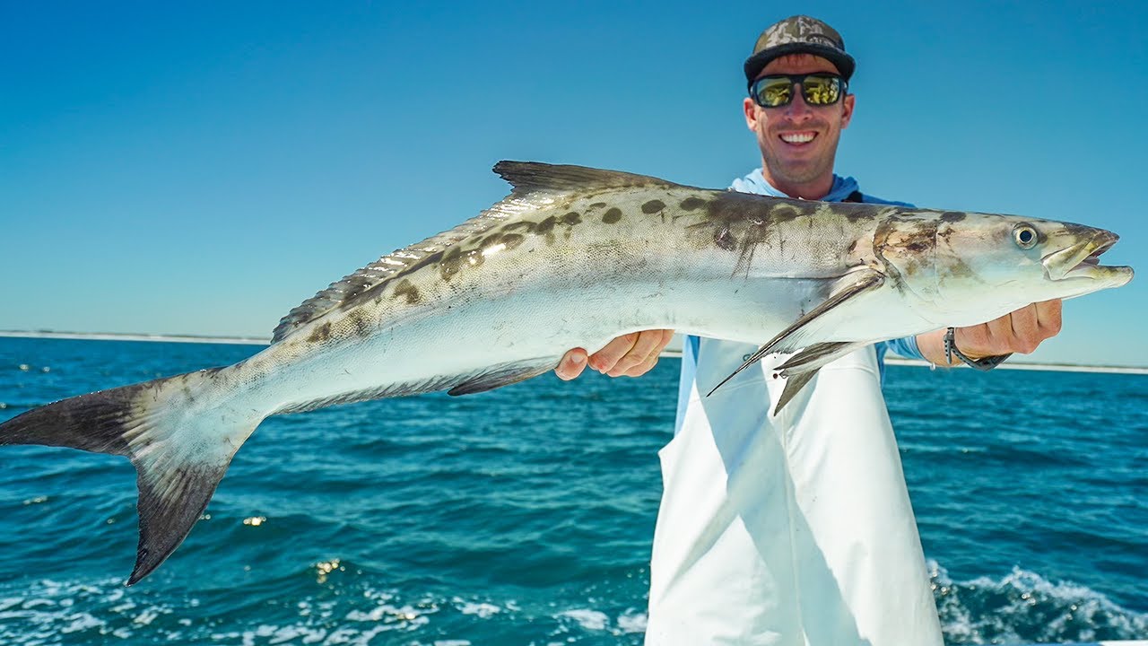 33 Hours of Sight Fishing? Hunting Florida's Most Elusive Inshore ...