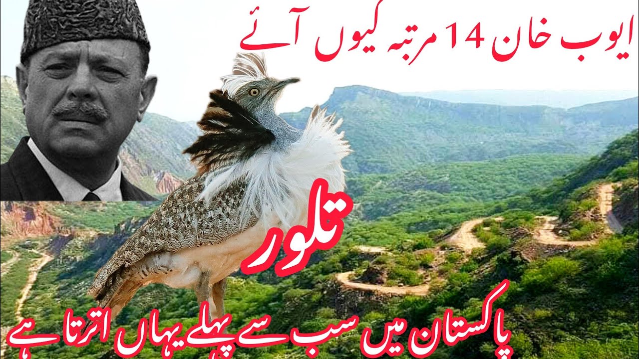 Old & Historical | Why President Ayub Came Here For 14 Time | First ...