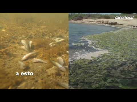 Esto puede pasar en el Mar Menor en cualquier momento