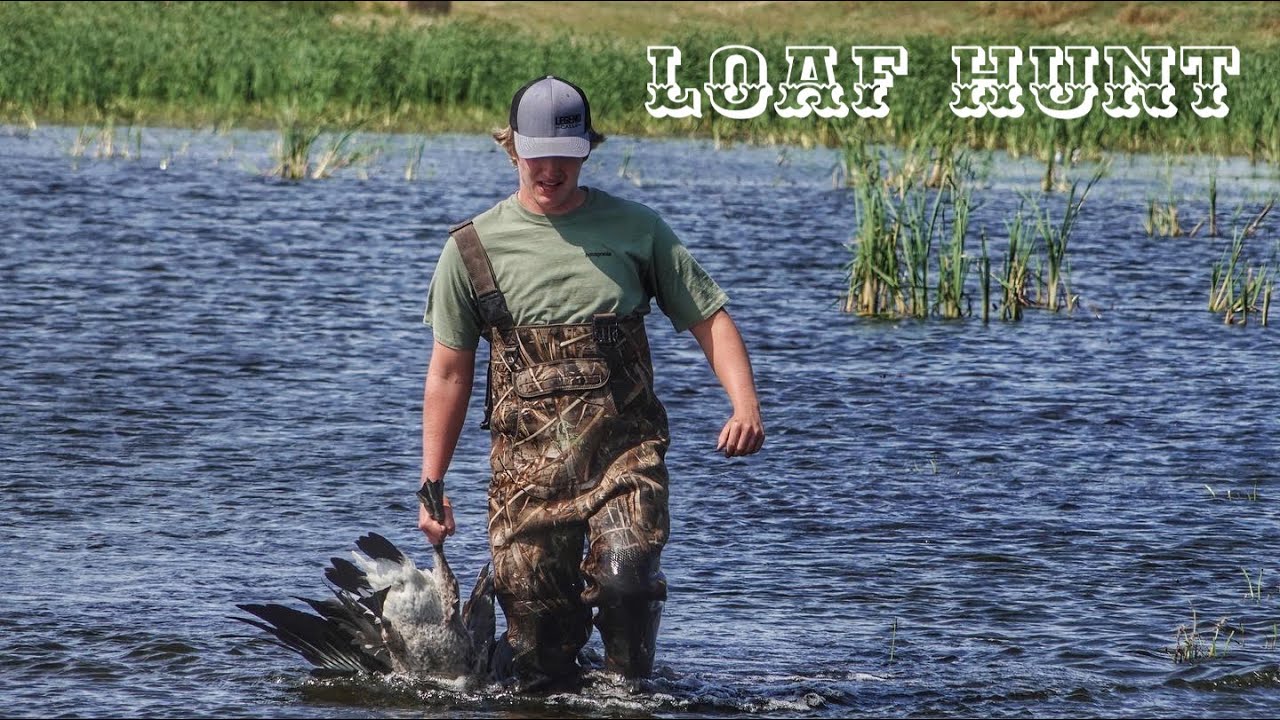 North Dakota Early Goose LOAF Hunt 2022! (GAME WARDEN) - YouTube