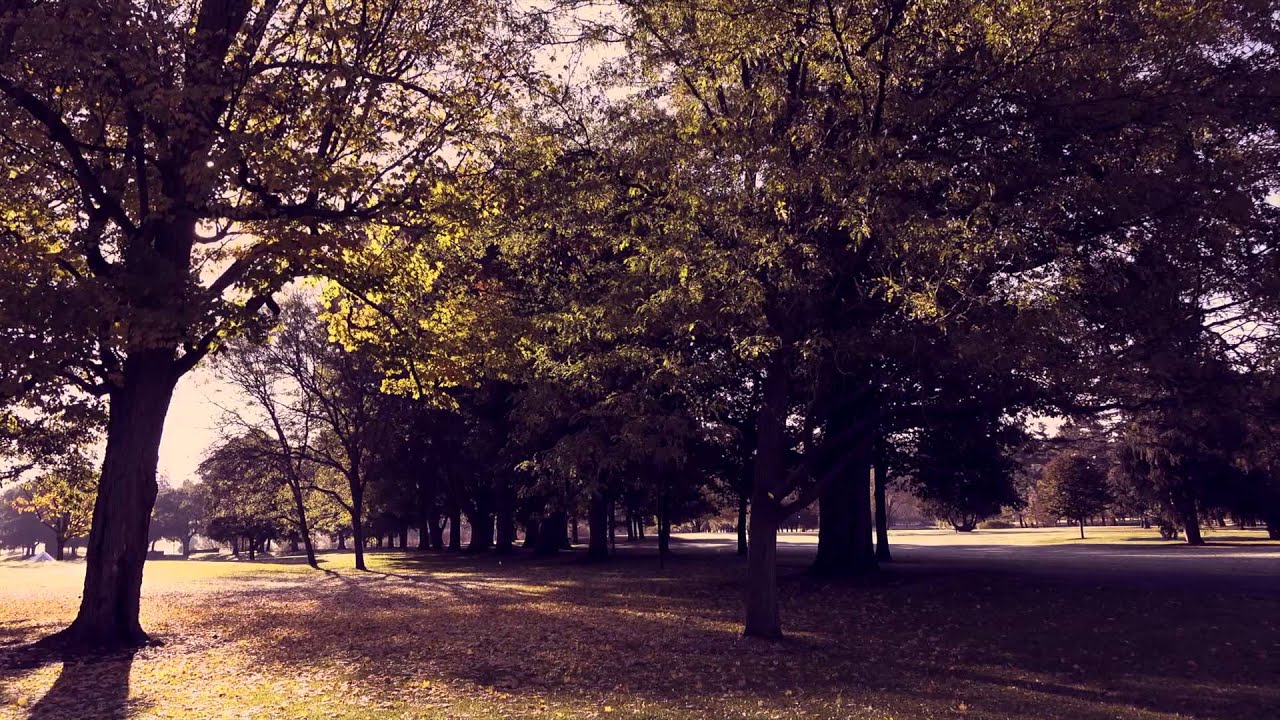 A fall morning at Colgate University - YouTube