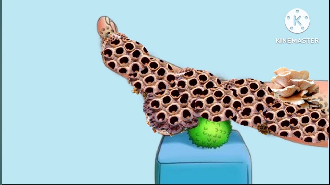 ASMR/Satisfying trypophobia, burnacles removal animation# ...
