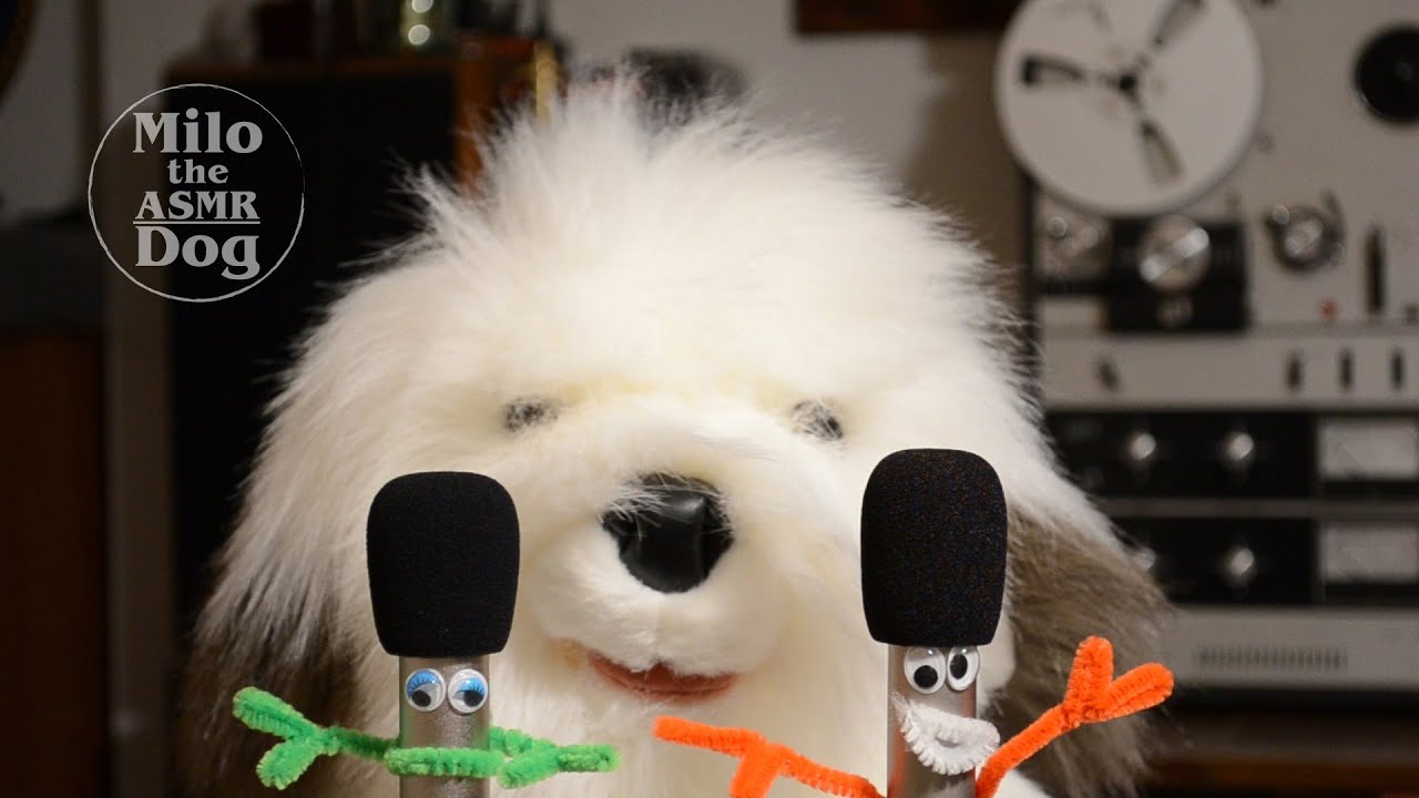 Mic Eating and Scratching ASMR - YouTube