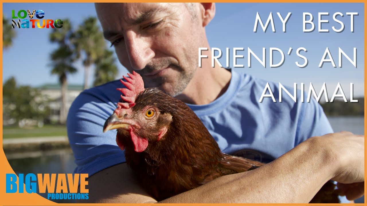Sammi Chicken- Occupation, construction worker 🛠️ - My Best Friend's an ...