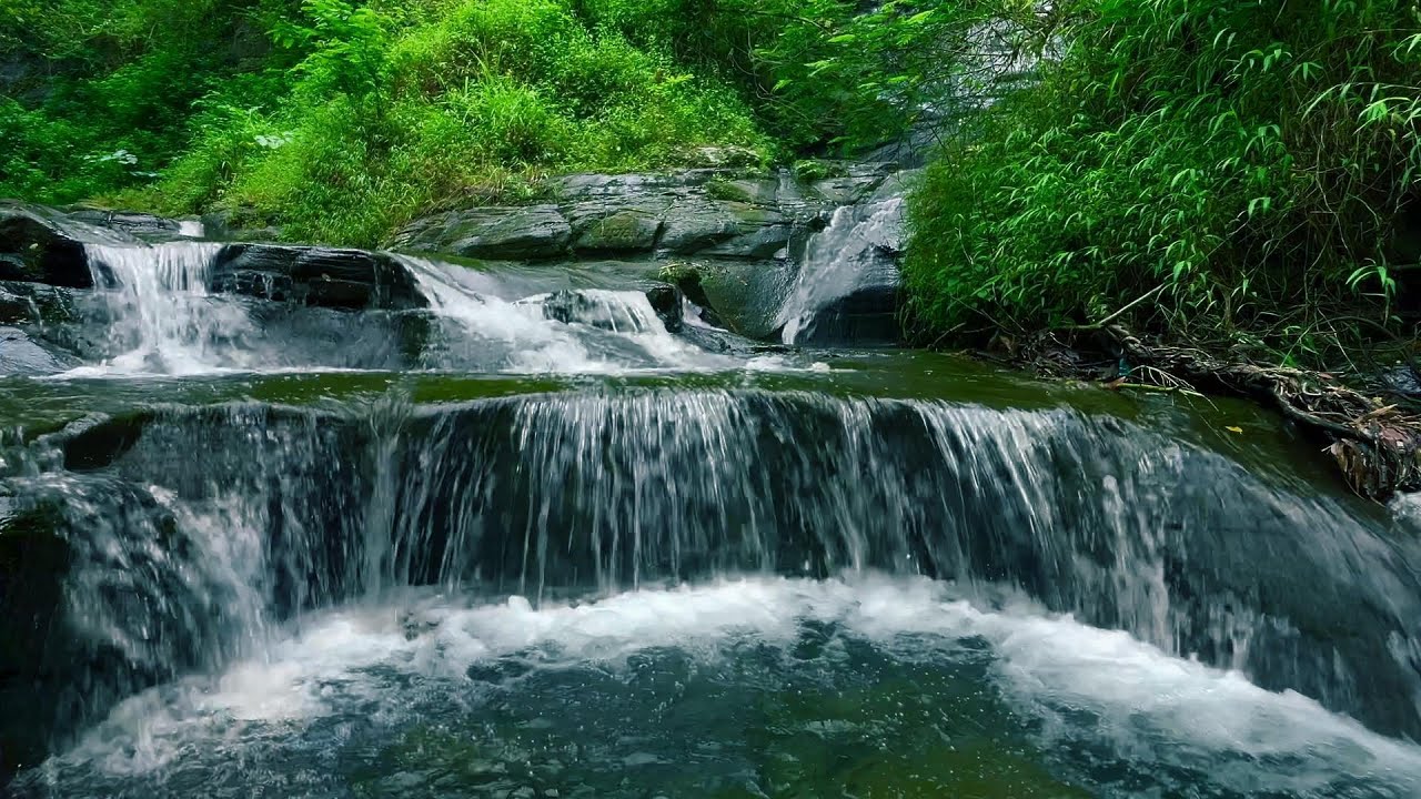Great Stream Vibe - Restful Night in Nature's Arm | sleep - relax ...
