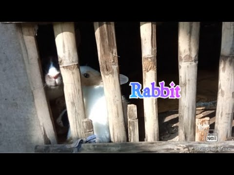 My Day Update Random video// Samuel sumi vlog - YouTube