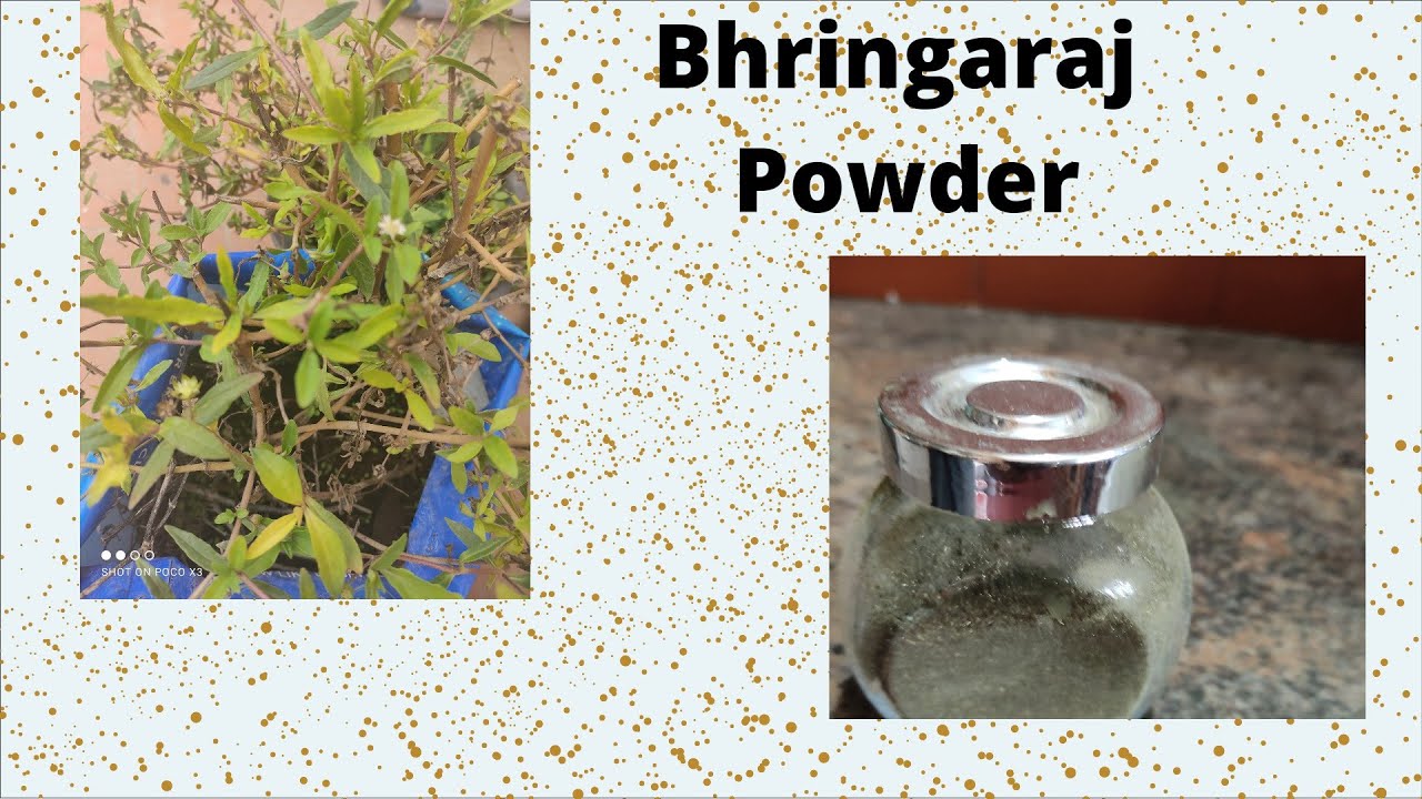 How to make pure Bringaraj powder at home. - YouTube