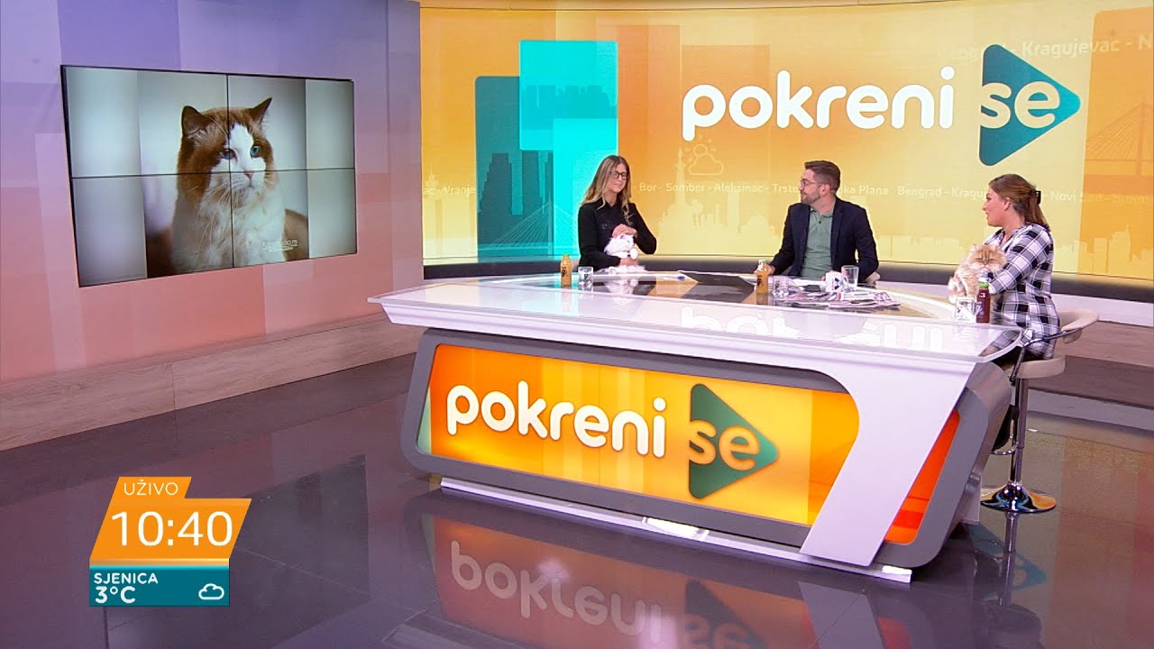 Ana Vlahović i Ivana Vasić: Vlasnici mačaka inteligentniji od vlasnika ...