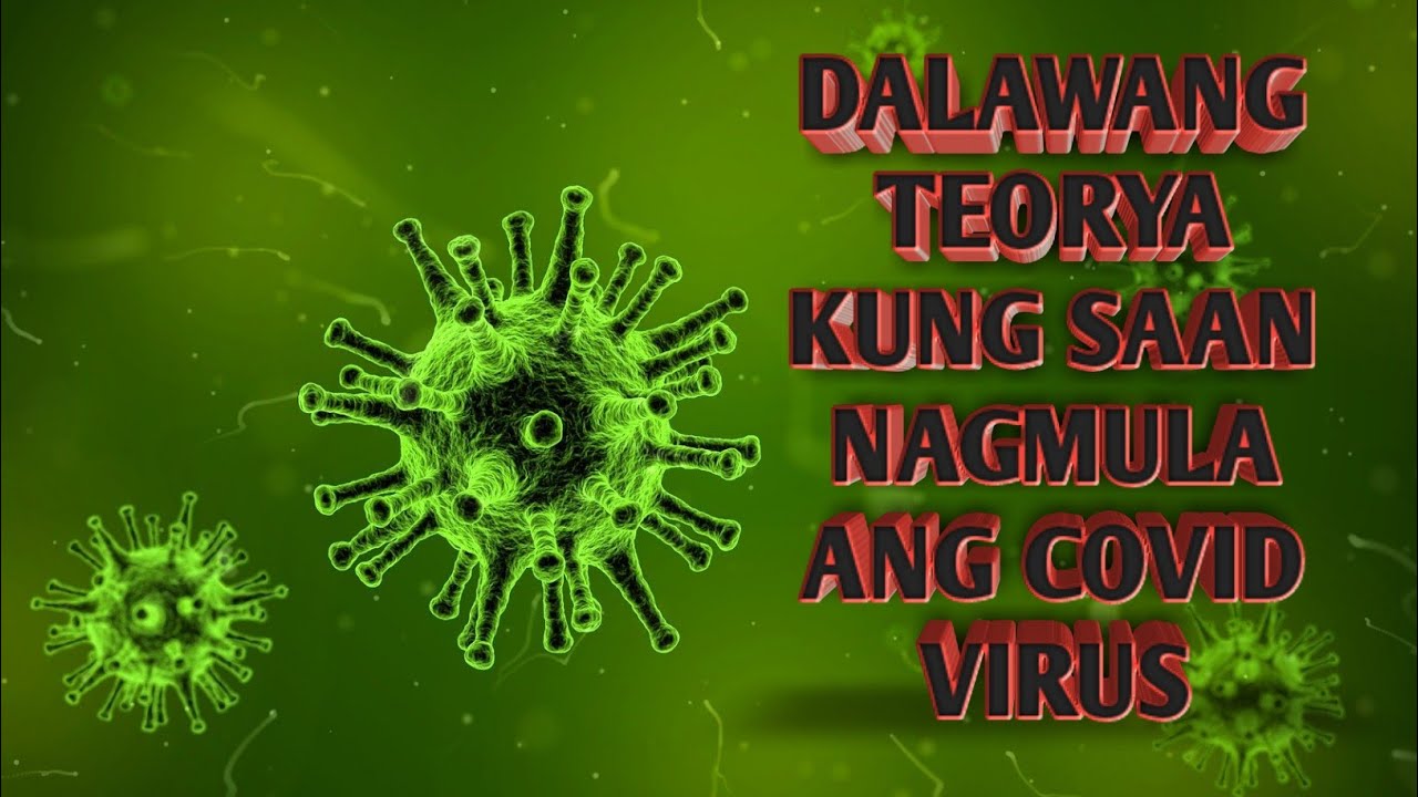 WHAT IS ORIGIN OF CORONA VIRUS YouTube what-is-origin-of-corona-virus-youtube