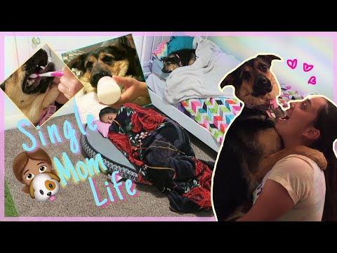 DAY IN A LIFE : Young Single Dog Mom 💖🐶👧🏽💖
