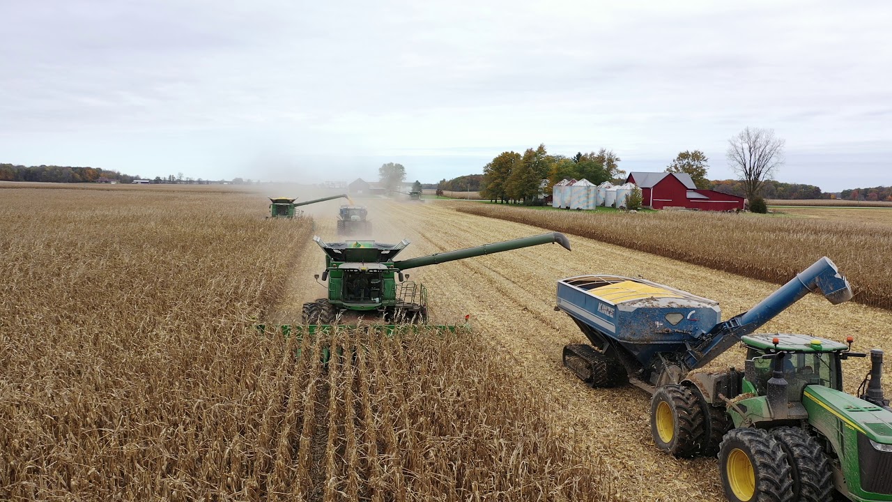 Tom Farms 2018 Corn Harvest - YouTube