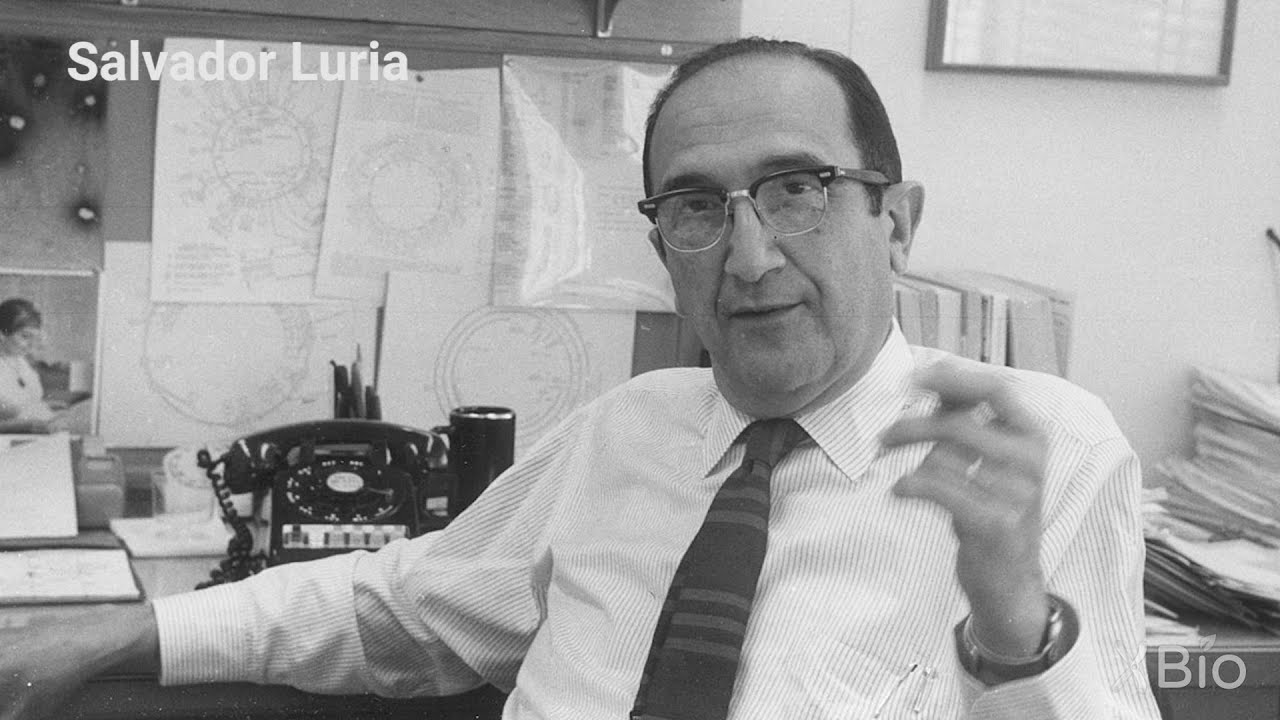 Why Luria-Delbruck Chose Bacteria and Bacteriophage to Study New Traits ...