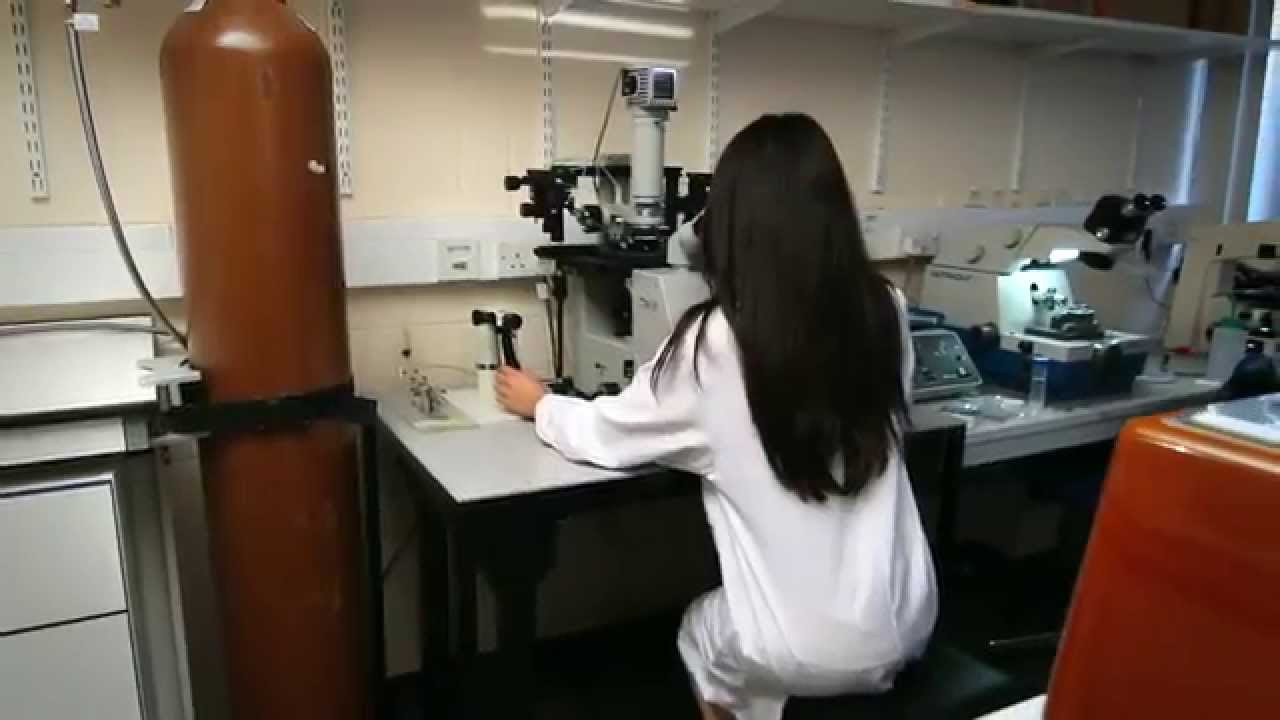University of Sussex: BSc in Neuroscience - YouTube