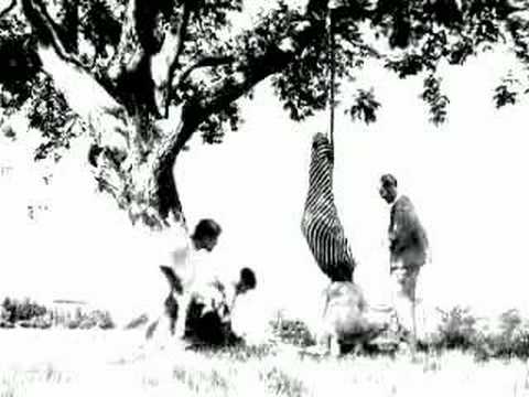 Chrysalis's Knowledge of Life - Ufuk Ceylan © 2006