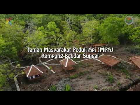 TAMAN MASYARAKAT PEDULI API ( MPA ) KP. BANDAR SUNGAI - KEC. SABAK AUH KAB. SIAK
