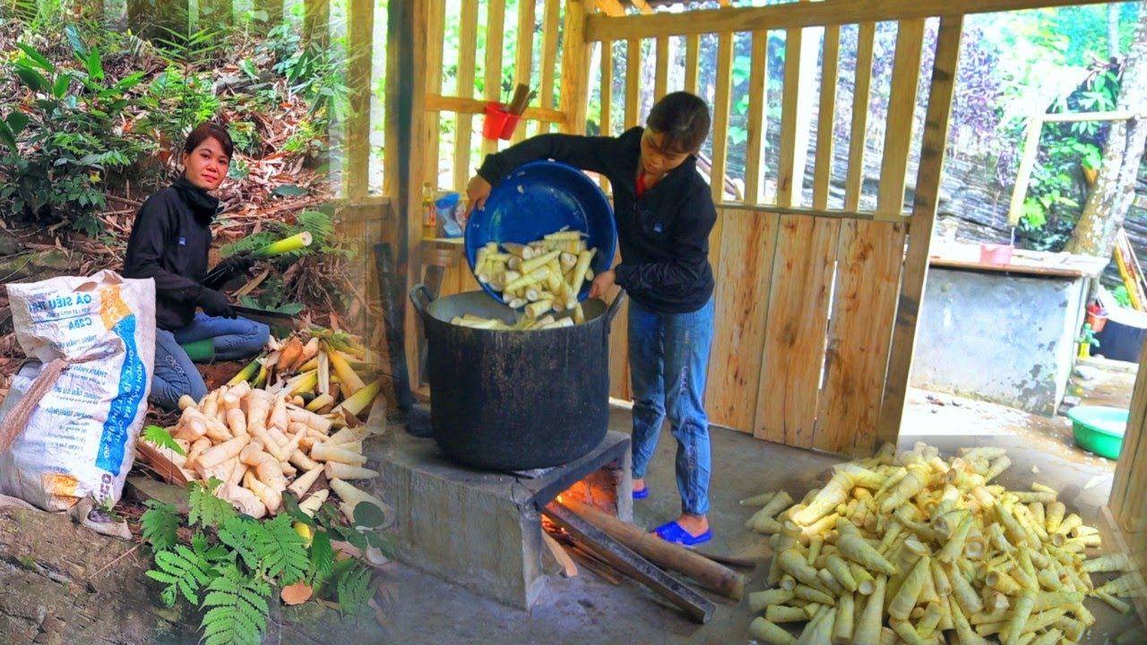Harvest peanuts and bamboo shoots, process bamboo shoots for sale - YouTube