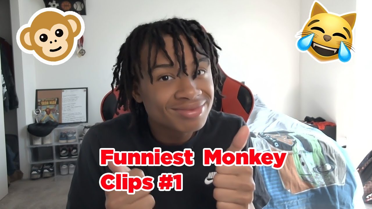 My Best And Funnys Monkey Clips - YouTube