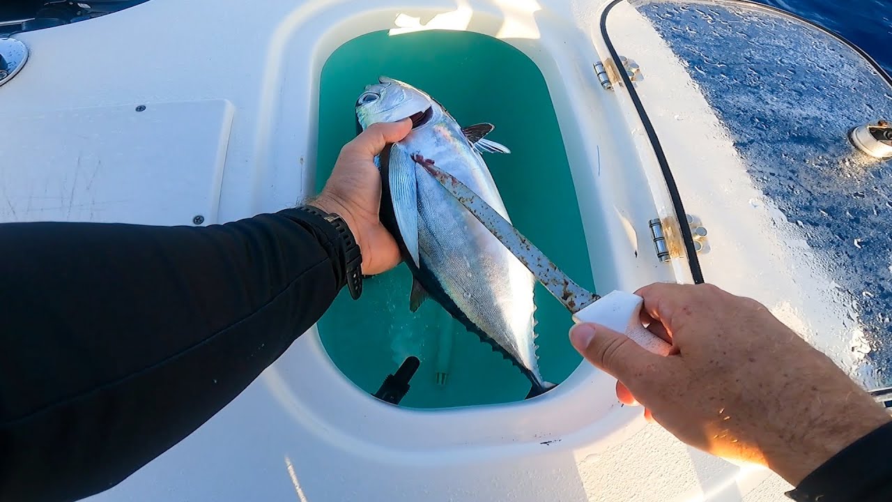 I turn a fish into DIP! {Catch and Cook} - YouTube