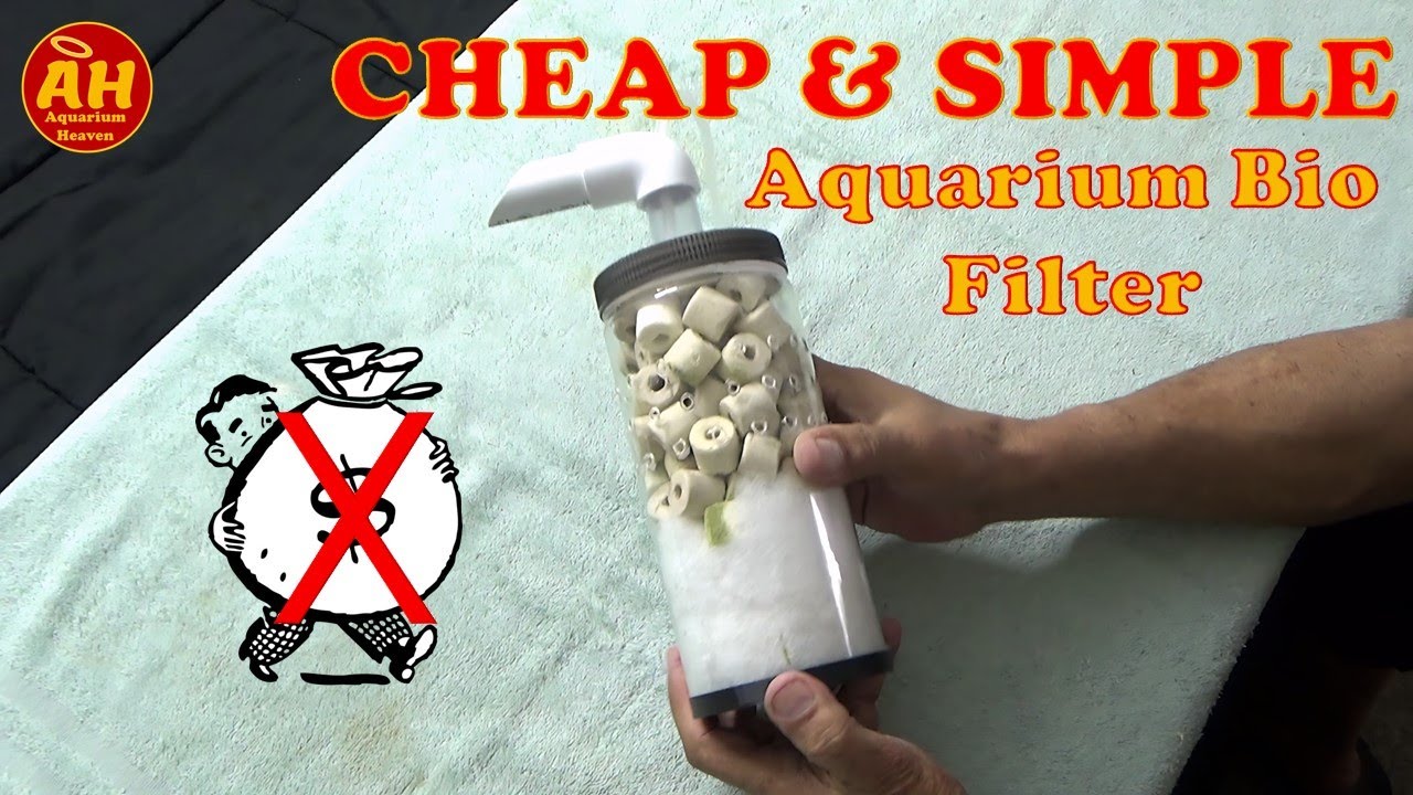 How to DIY a Cheap and Simple fish tank bio filter - YouTube