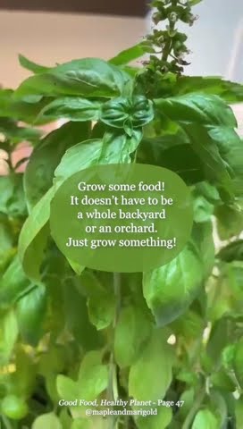 Grow Some Food! - YouTube