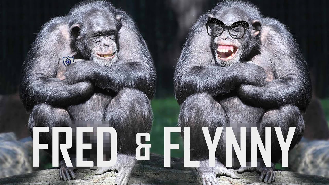 Fred & Flynny Live : With Pat Tyson - YouTube