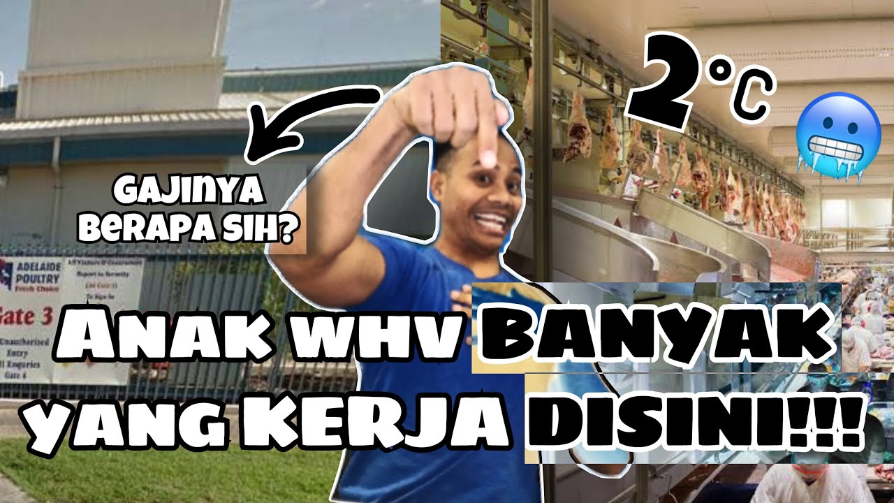 Berapa Gaji anak WHV Australia (kerja di pabrik ayam Baiada adelaide ...