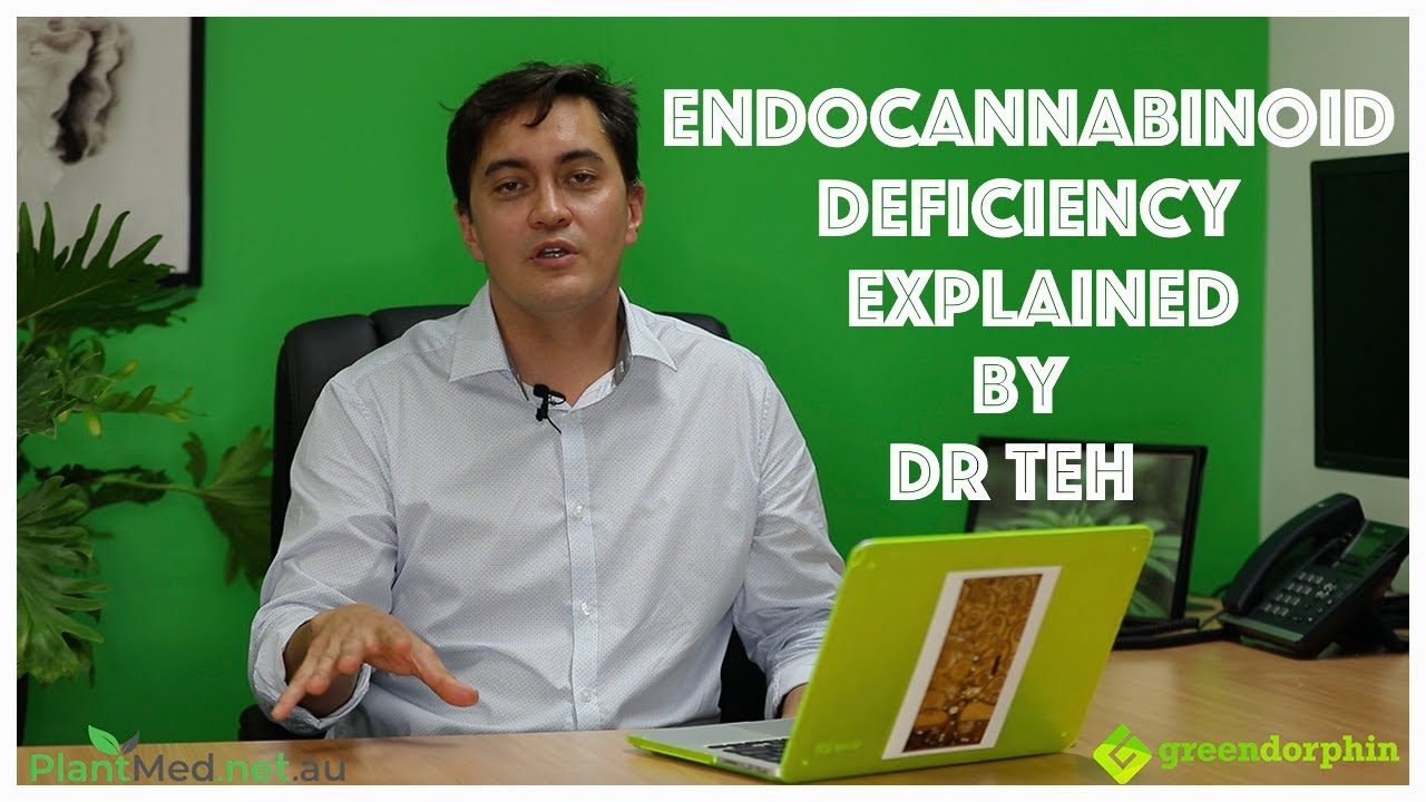 Endocannabinoid Deficiency Explained by Dr John Teh Cannabinoid ...