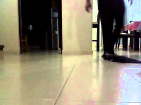la miche loca.wmv - YouTube