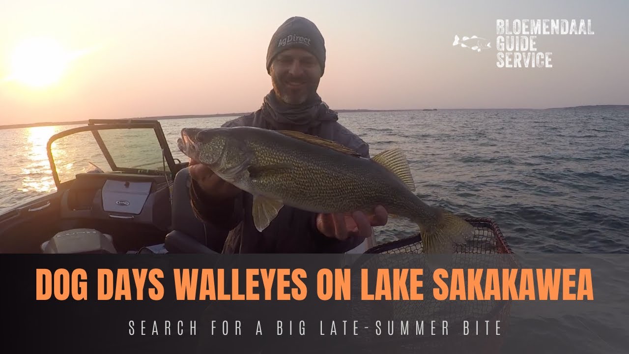 Dog Days Walleyes on Lake Sakakawea - Search for a Big Late-Summer Bite ...
