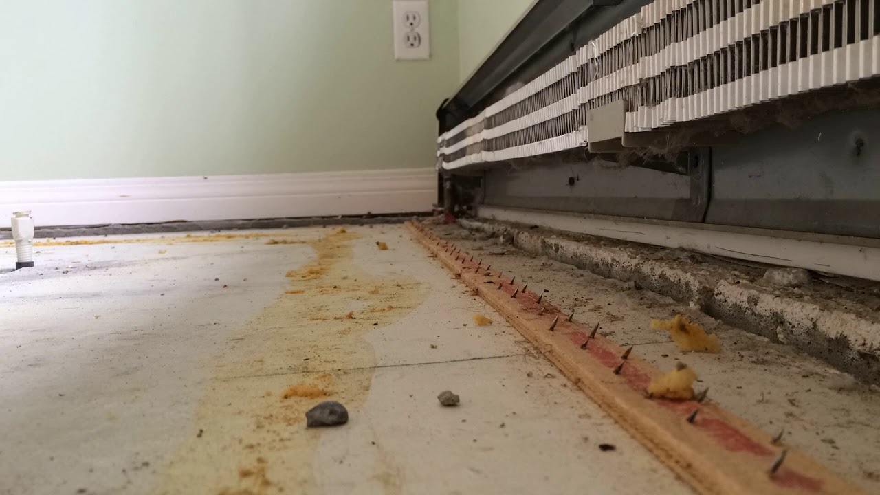 Interior floor lift with PolyLevel - YouTube