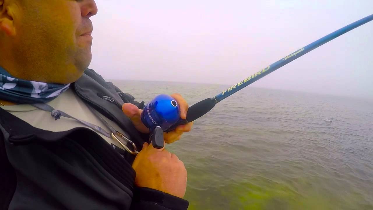 Redfish Fishing with FlatsMafia Fishing - FlatsMafia TV - Redfish ...