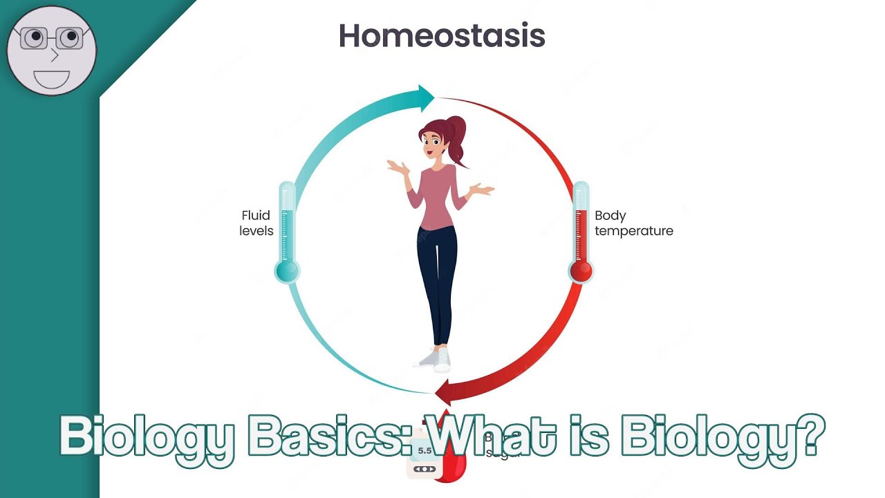Biology Basics: What is Biology? - YouTube
