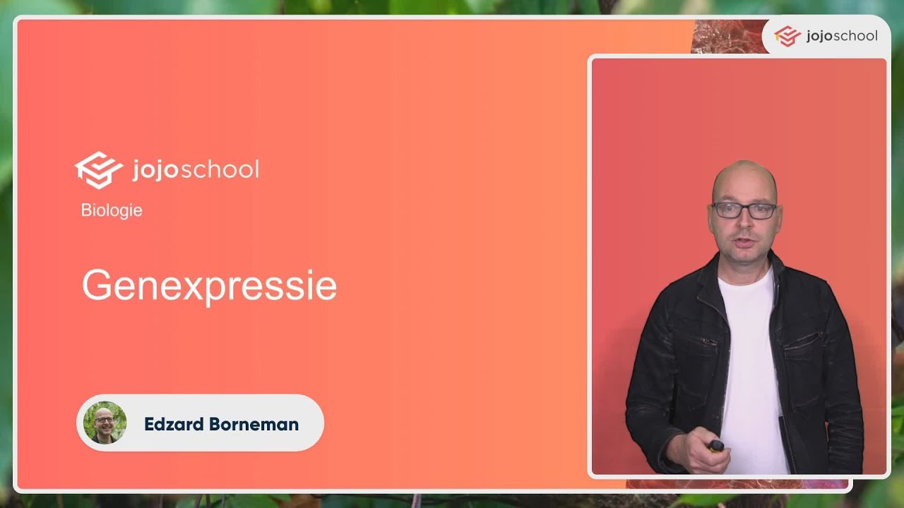 Genexpressie - Biologie - VWO - YouTube