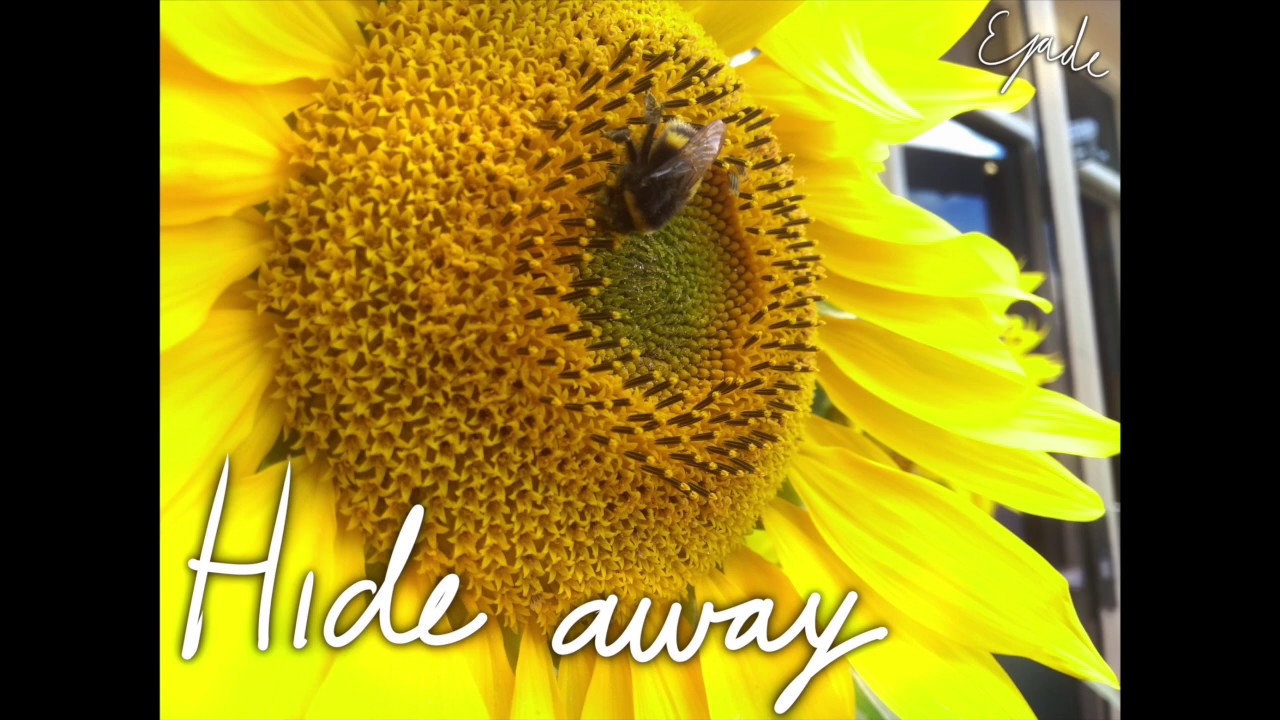 Hide Away - Original Song - YouTube