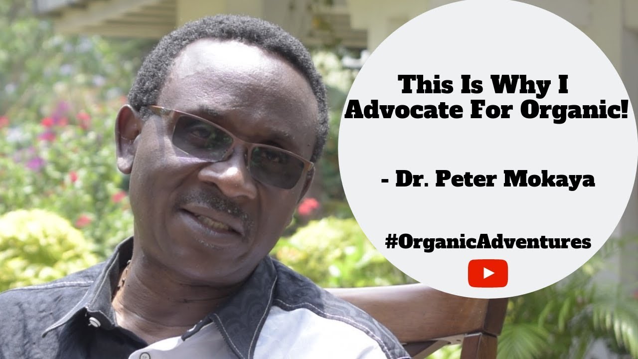This Is Why I Advocate For Organic!| Dr. Peter Mokaya| # ...