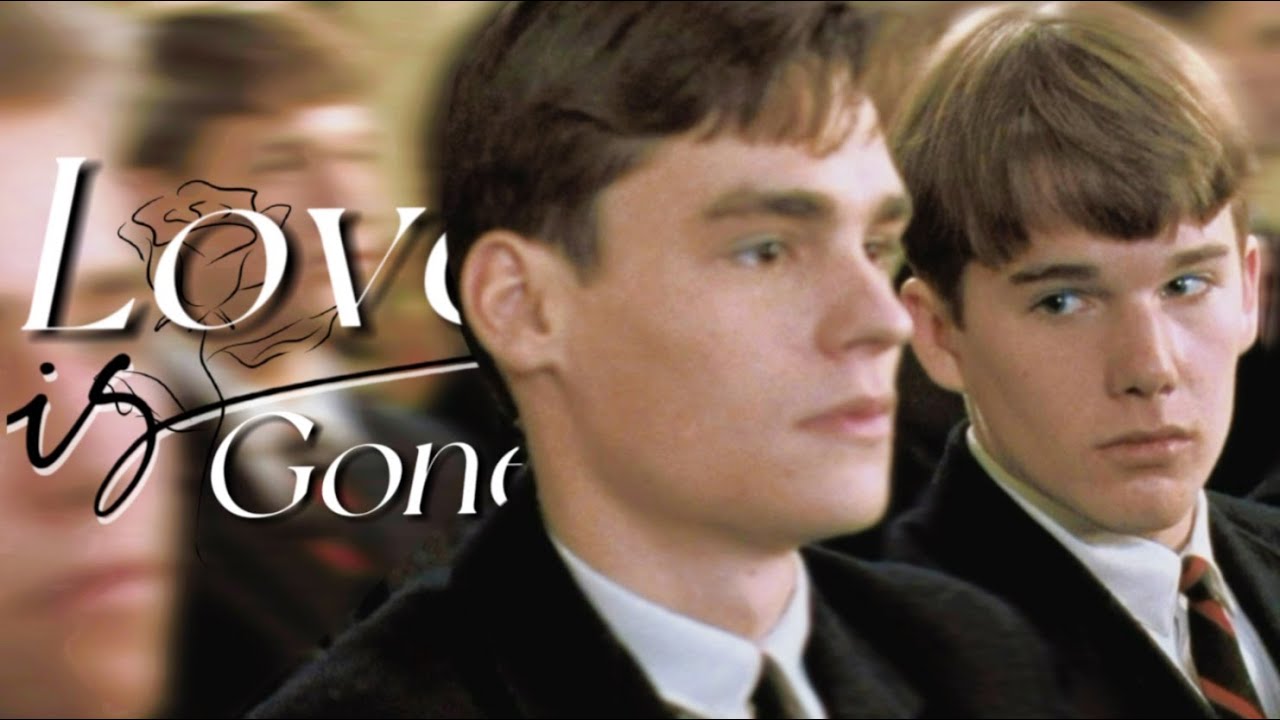 Neil & Todd || Love Is Gone - YouTube