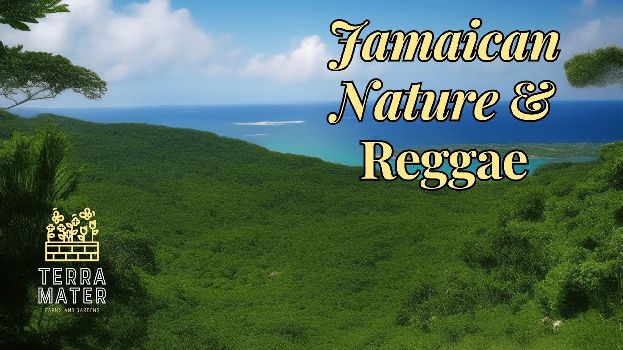 🌴 Jamaican Rhythms & Natural Beauty: Music Mix for Tropical Serenity! 🎶 ...