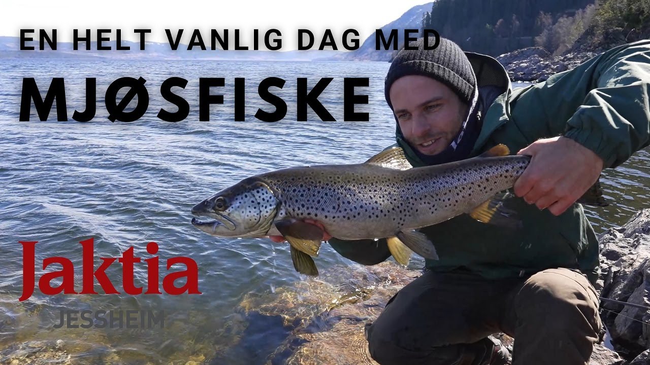 Fiske ørret fra land i Mjøsa - Bli med oss på en helt vanlig dag i ...