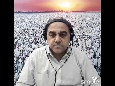 Sensiz hayat..semir sağlam