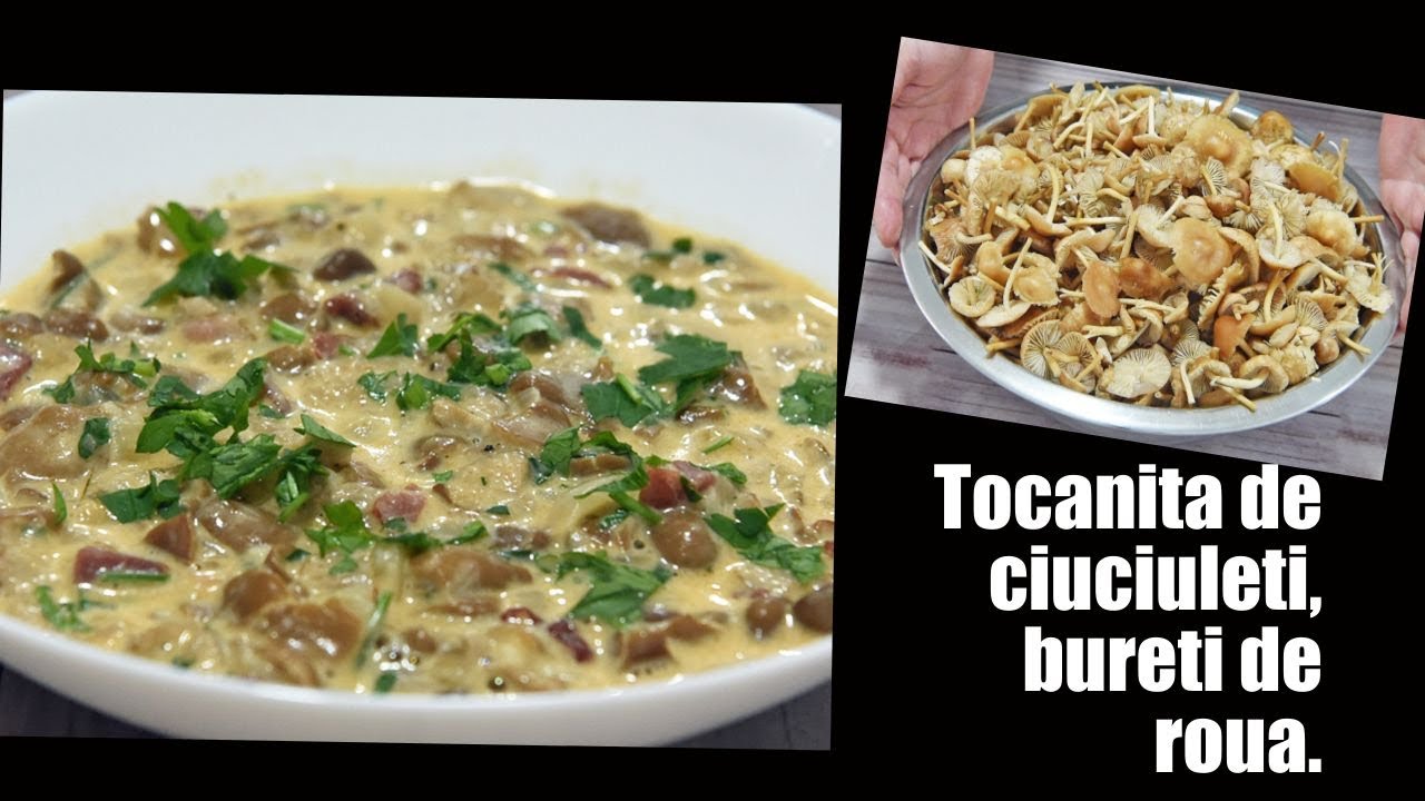 Tocanita de ciuciuleti, bureti de roua cu bacon in sos cremos si ...