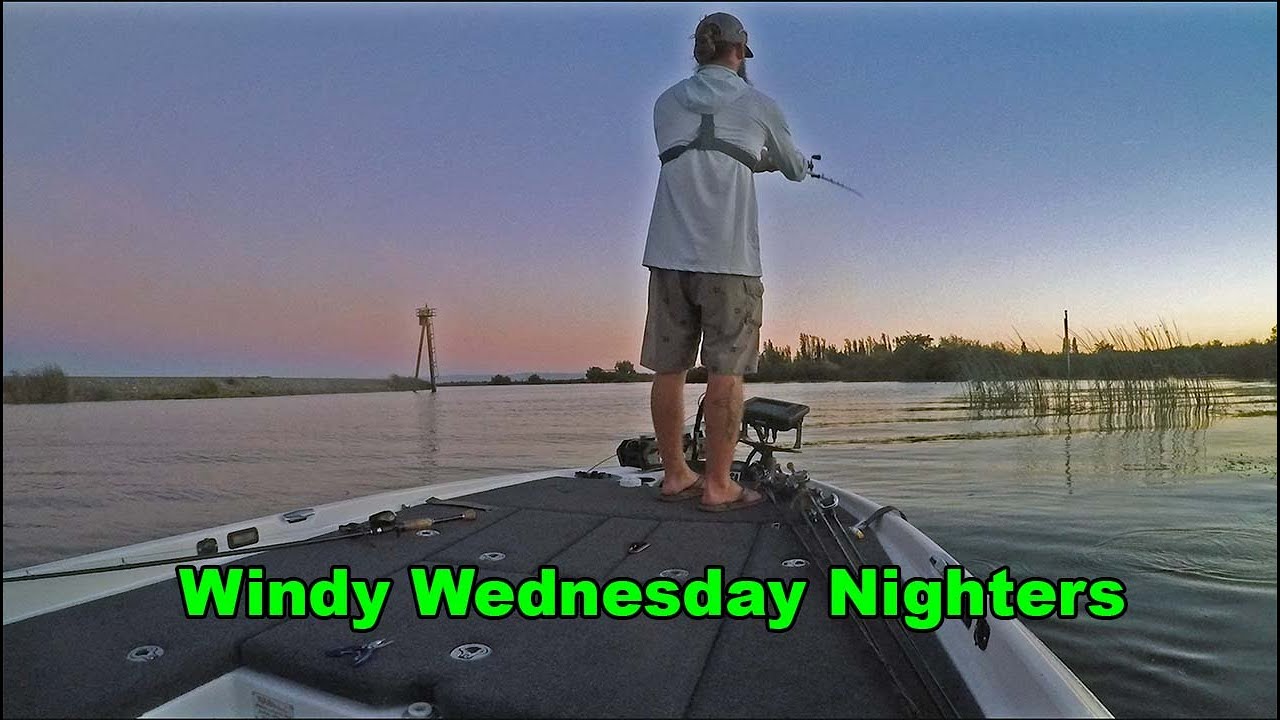 Windy Wednesday Nighters Ep5 | Fishing SOLO - YouTube