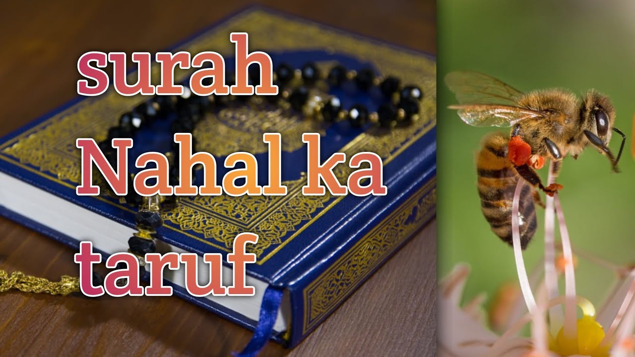 Surah Nahal ka taruf ll Ruku ll Ayat ll makam e nazol@islamicinformation567 - YouTube