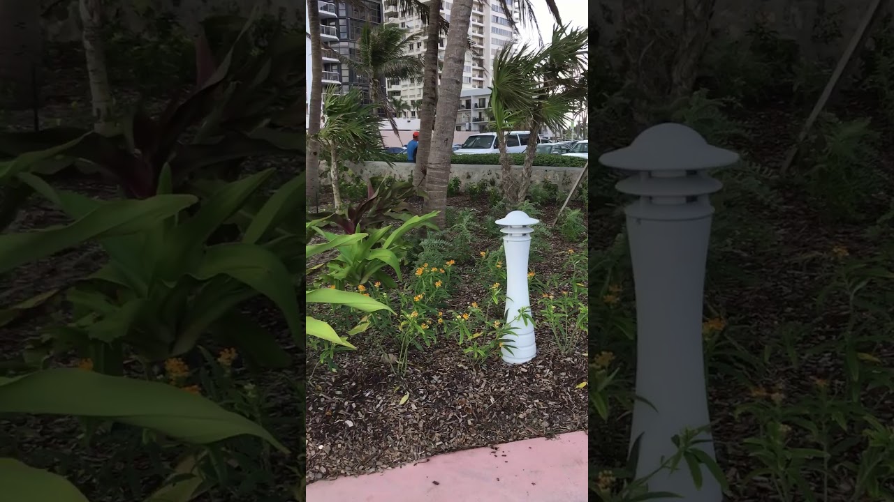Miami Beach Allison Park. - YouTube