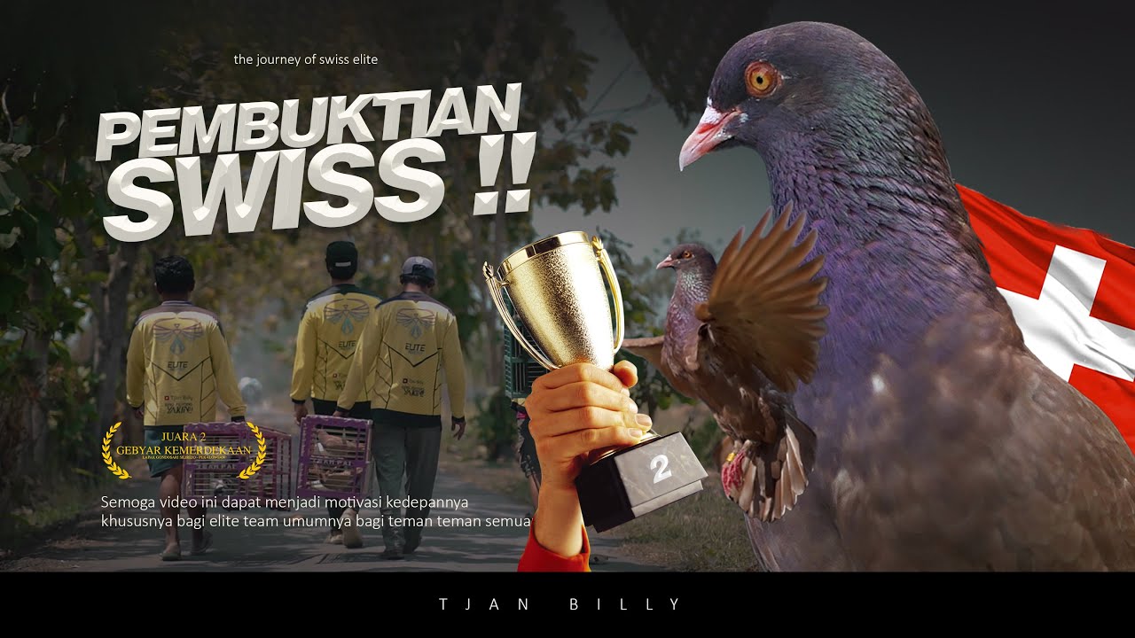 PERJUANGAN MERPATI SWISS BERSAMA ELITE TEAM PODIUM 2 LAPAK SILIREJO ...