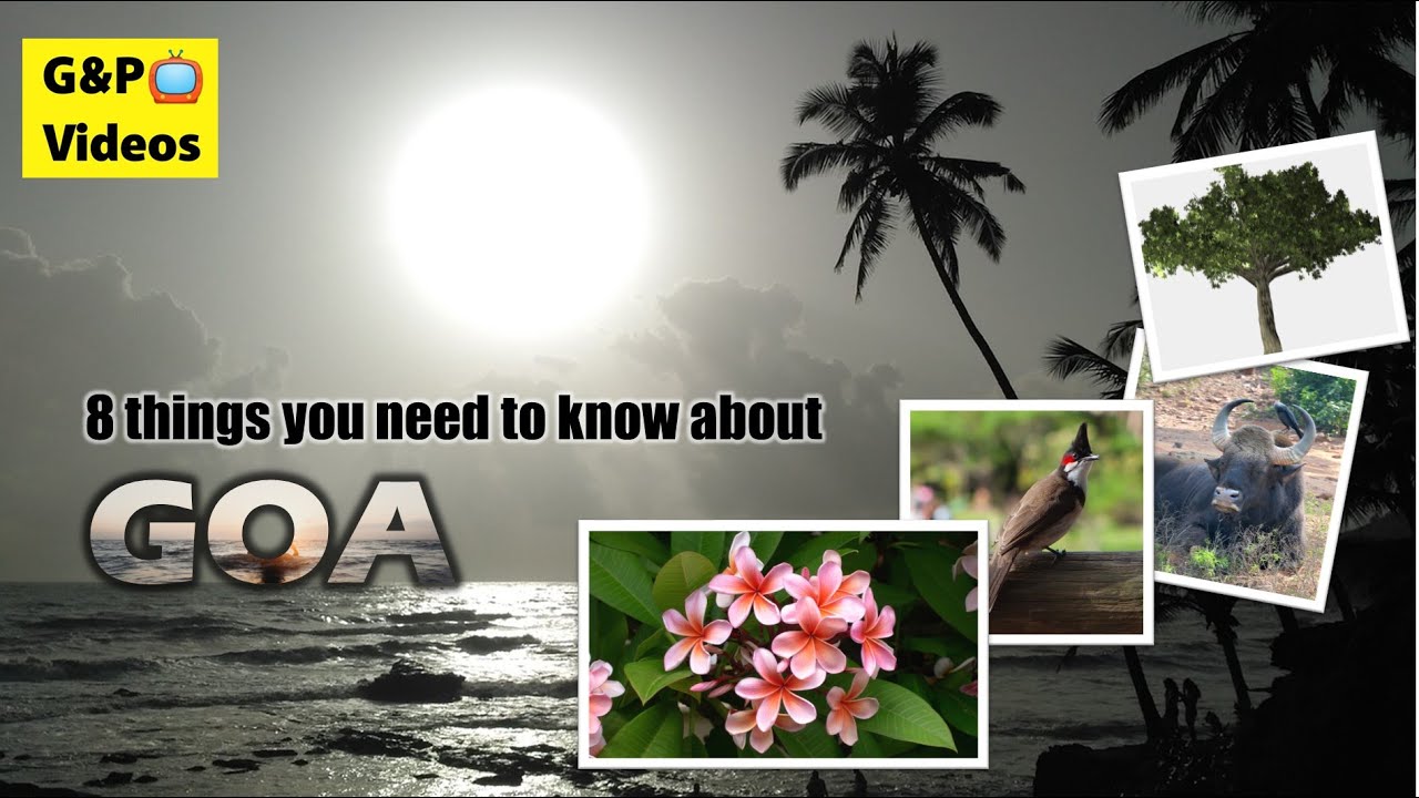 8 Things need to know about Goa | All About Goa | Goa | garvnparv - YouTube