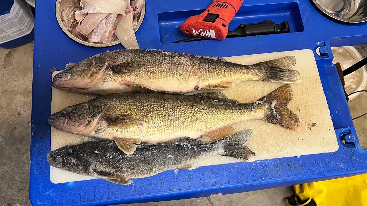 Oneida Lake Ice Fishing 2022 #4 - YouTube