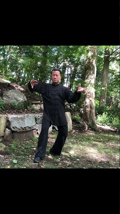 Master Ren Guangyi 任广义, 19 Form Chen Tai Chi, Chi Force Tai Chi and Qigong - YouTube
