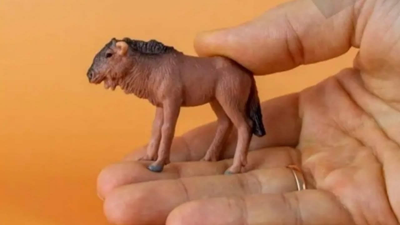 How to color Antelope Gnu - YouTube