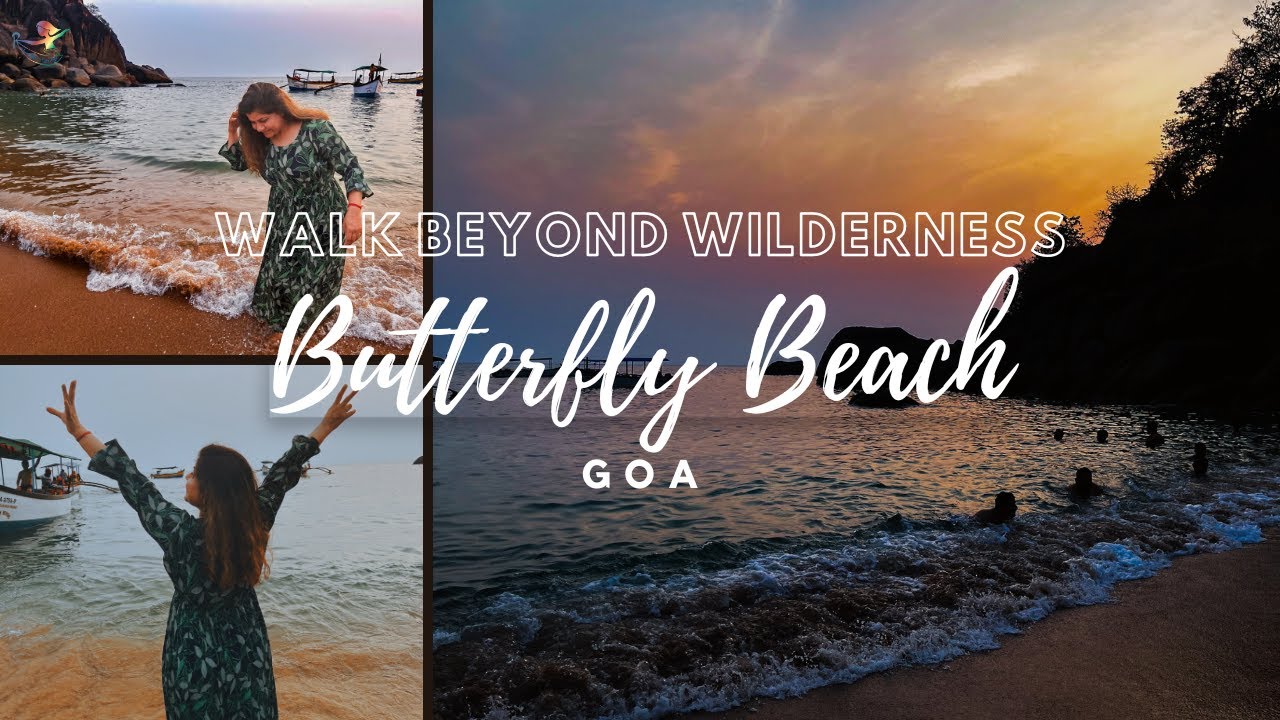 Butterfly Beach| Hidden Beach of Goa| Trek to a private beach| How to ...